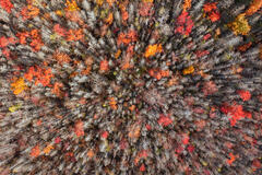 Autumn Foliage | Patrick Zephyr Photography