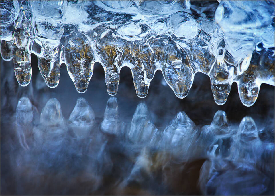 A Closer Look | Patrick Zephyr Photography